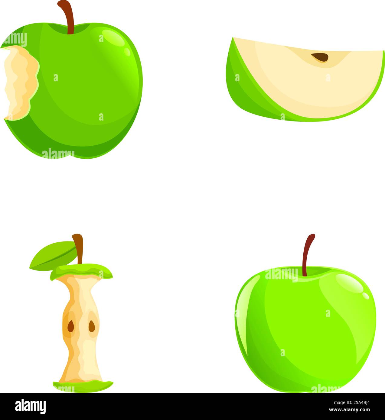 Illustration set featuring a whole green apple, a slice, a bite taken ...