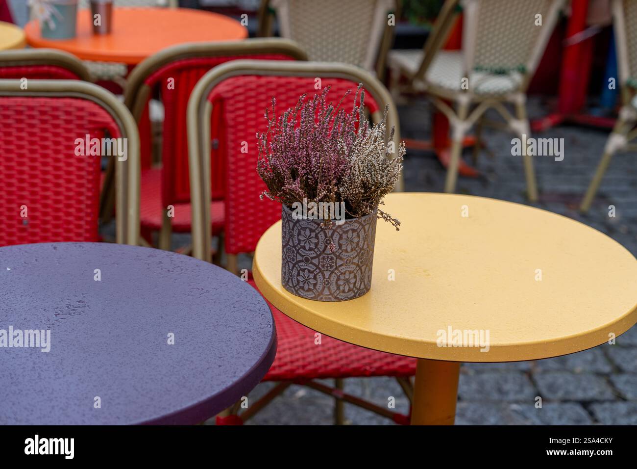 Colorful outdoor cafe tables with charming plants in a vibrant setting ...