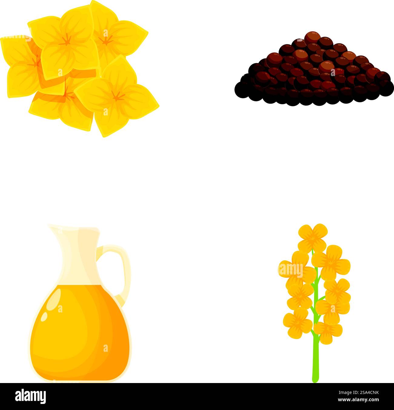 Vector collection featuring canola flowers hi-res stock photography and ...