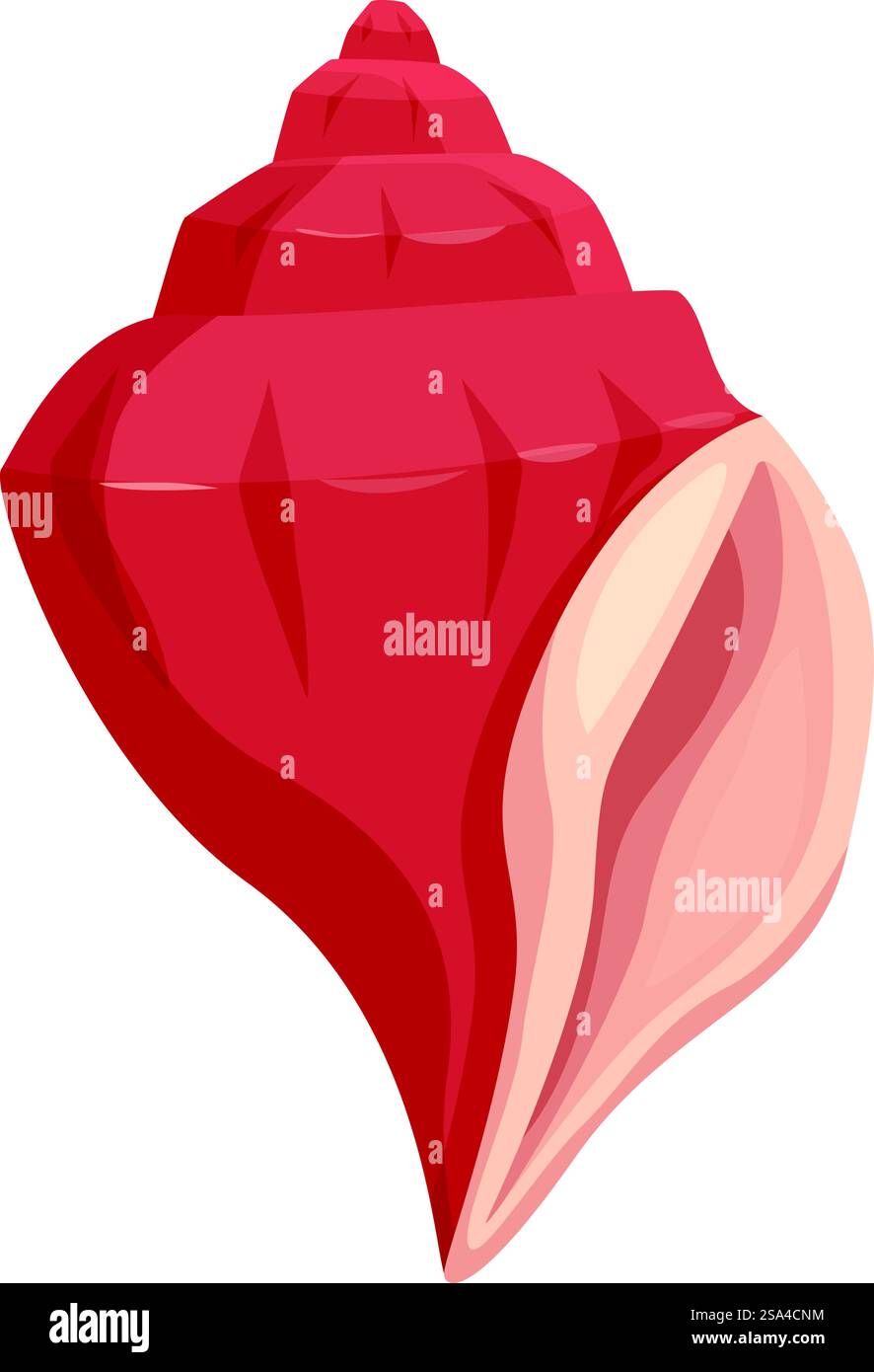 Illustration of a red conch seashell with a beautiful spiral pattern ...