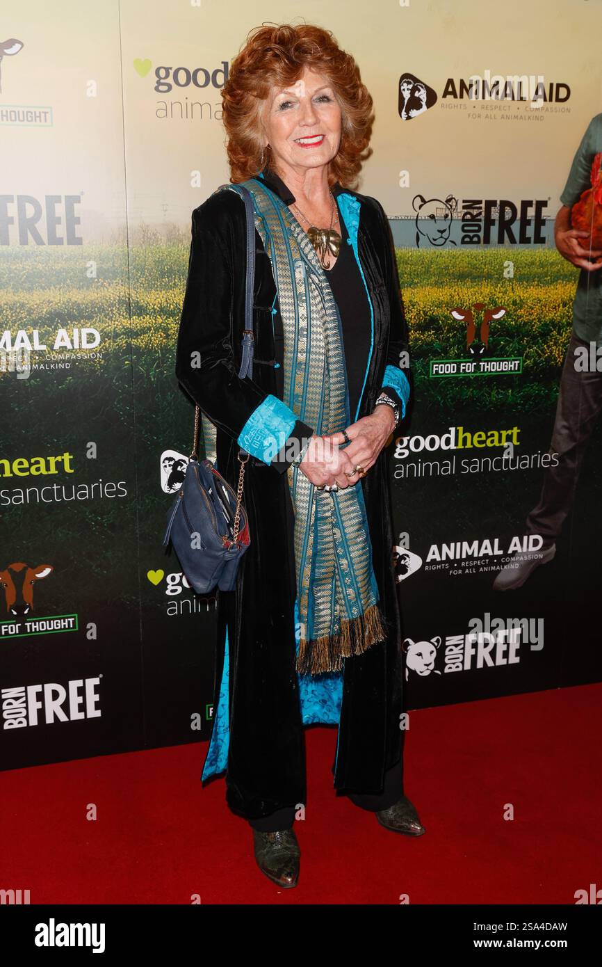 Rula Lenska attends the World Premiere of 'Food For Thought' held at ...