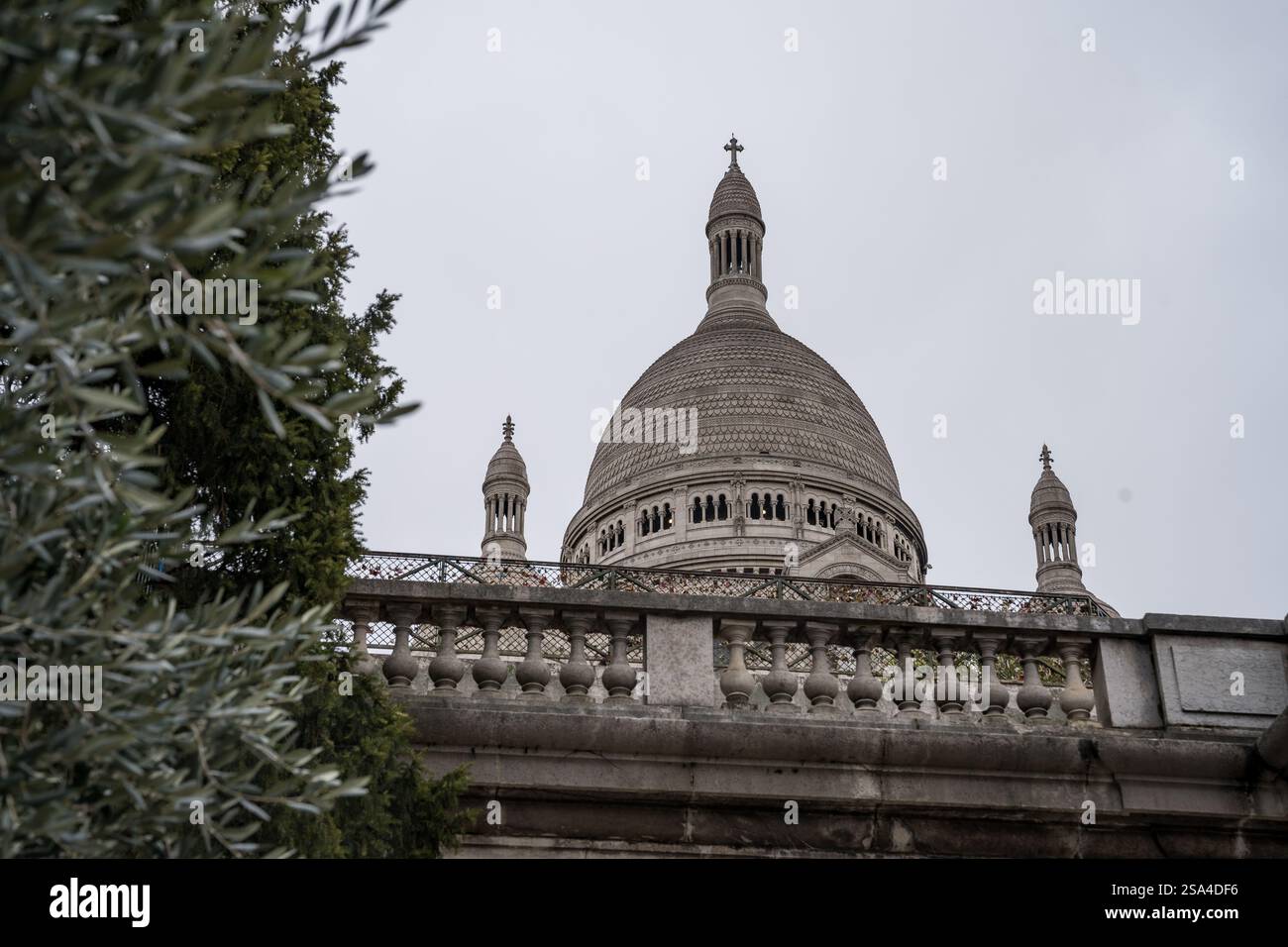 Majestic architecture rises above the trees in an overcast Paris ...