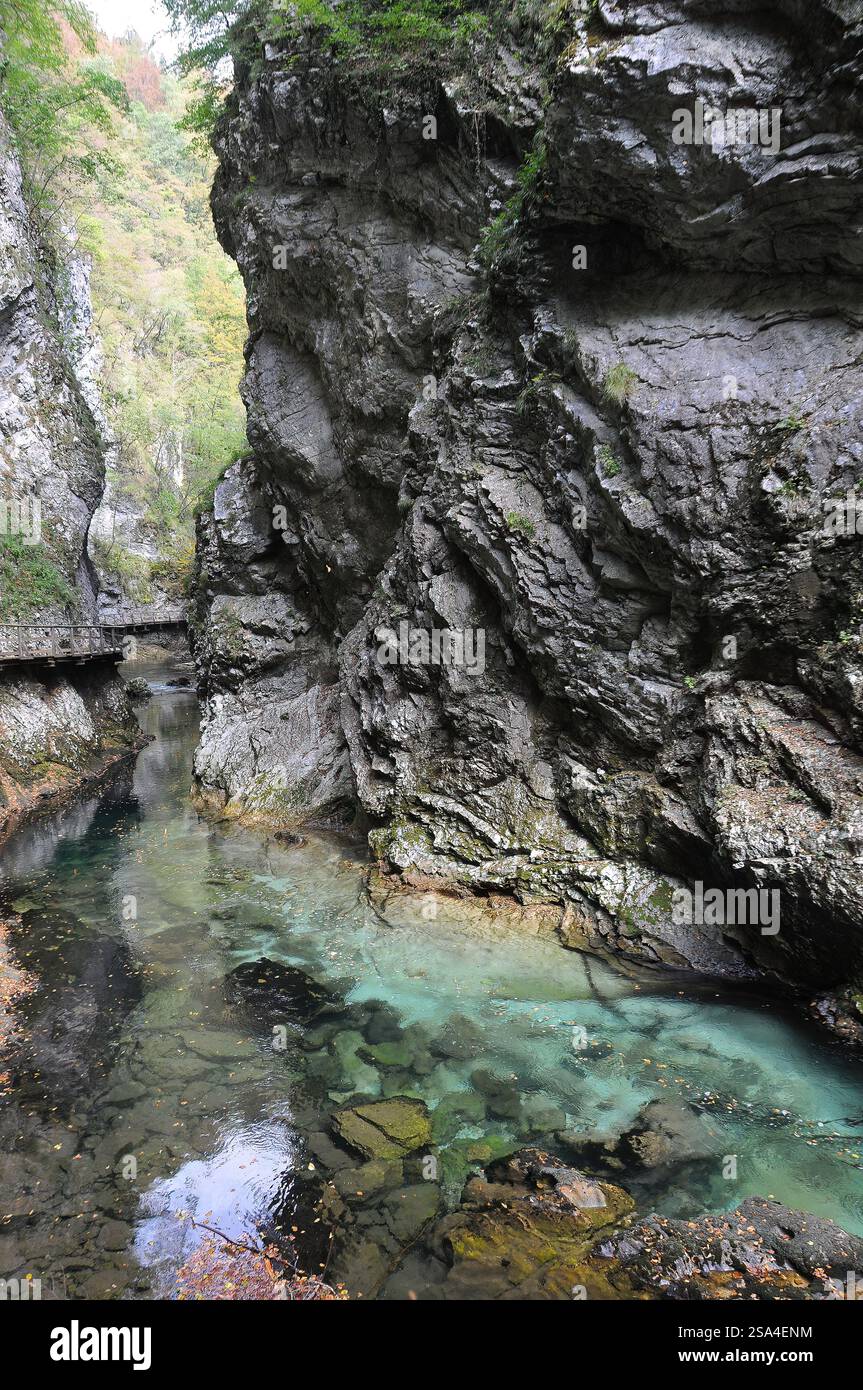 Vintgar Gorge or Bled Gorge, soteska Vintgar, Blejski vintgar, Slovenia ...