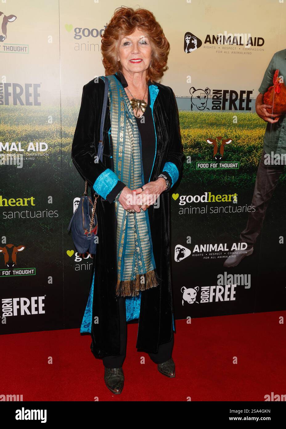 London, UK. 24th Jan, 2025. Rula Lenska attends the World Premiere of ...