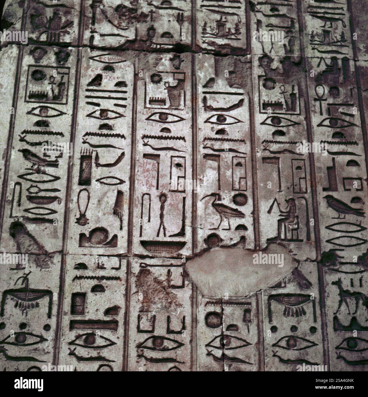 Hieroglyphentext in einem Wandrelief im Totentempel des Pharao Sethos I ...