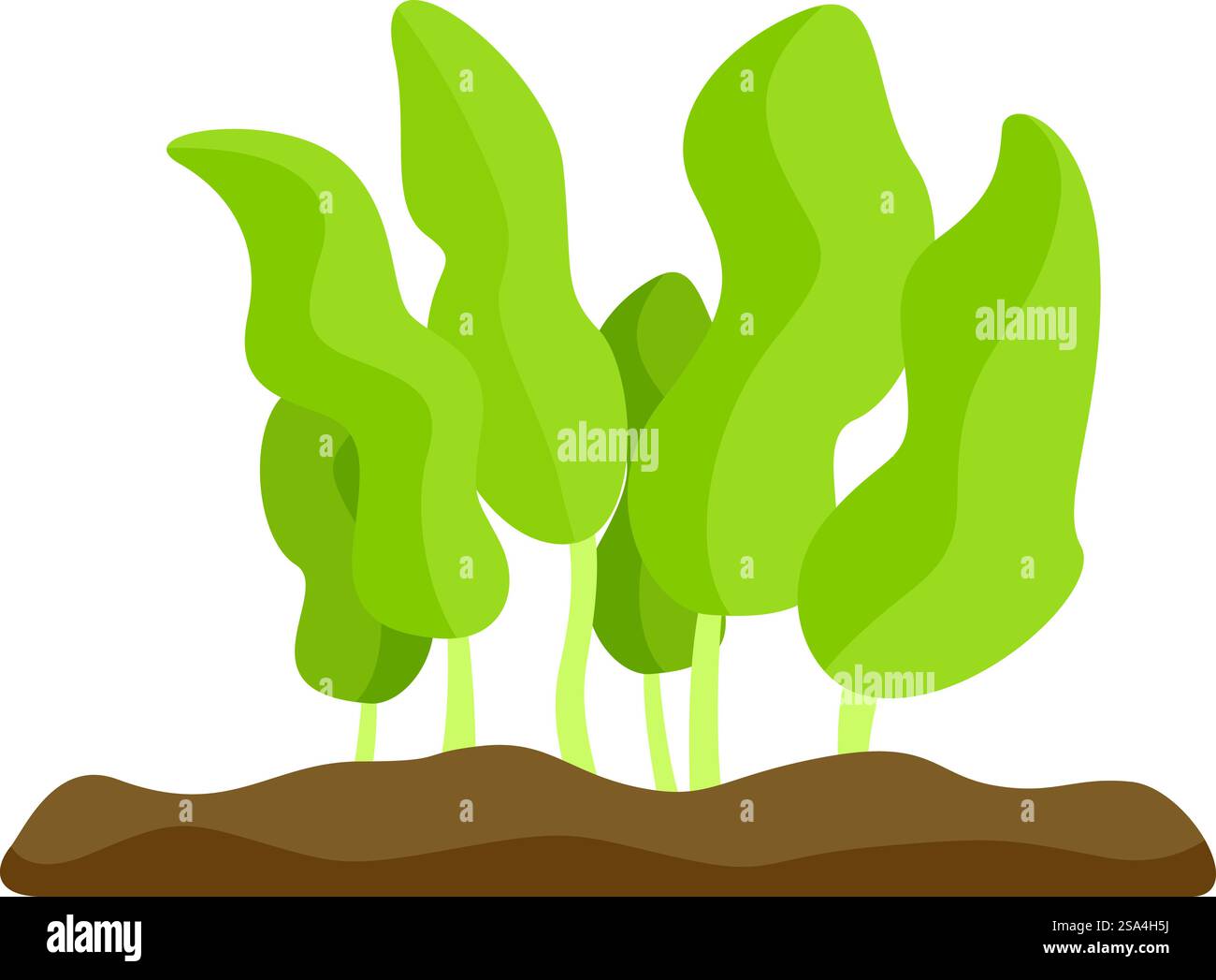 Green seedlings growing from the ground, simple cartoon illustration ...