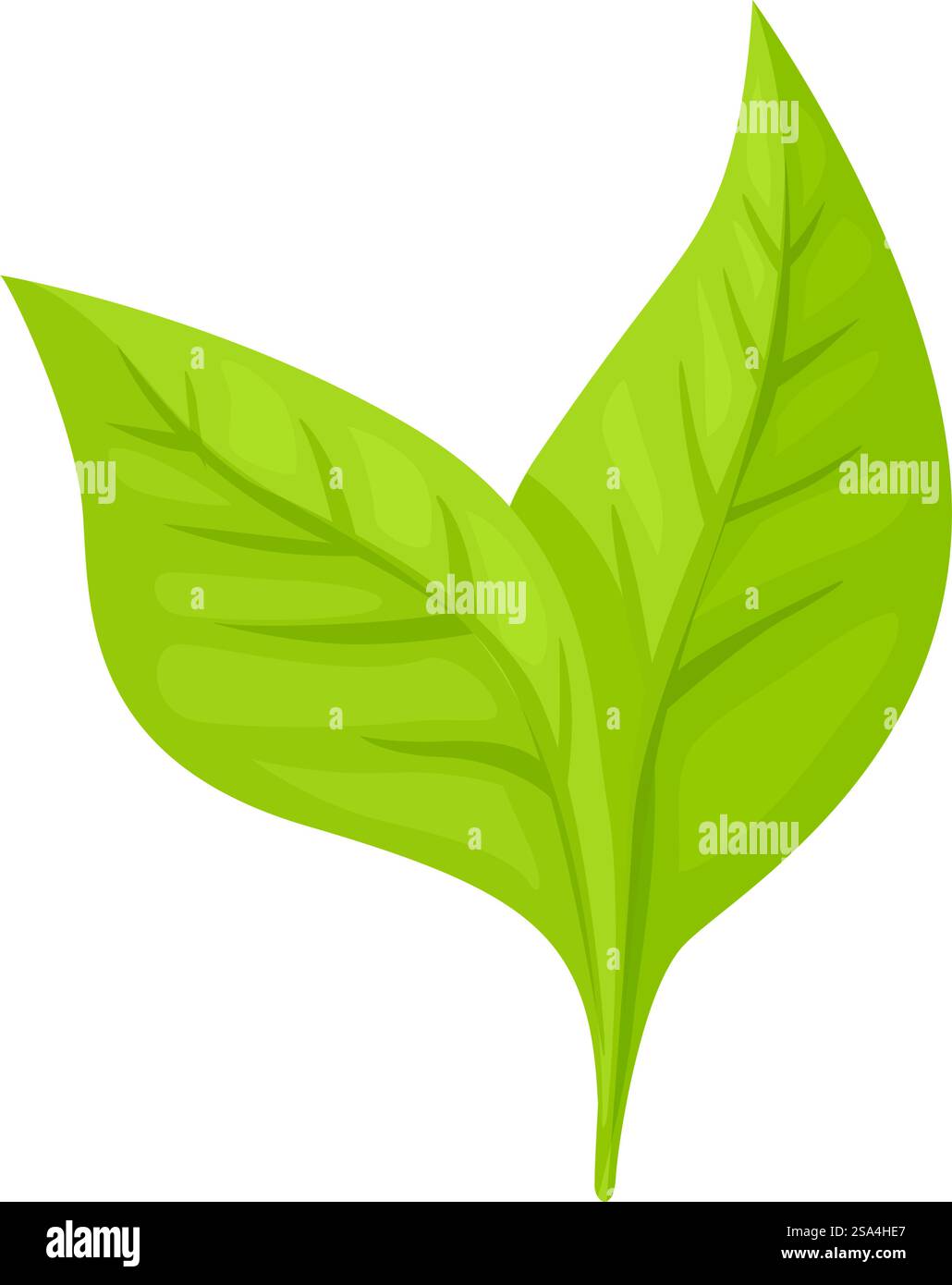 Simple illustration of two green leaves perfect for environmental ...