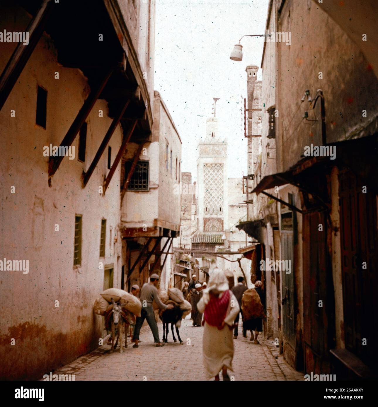 Die Medina von Fes el-Jdid mit Blick auf das Minarett, Marokko 1959 ...