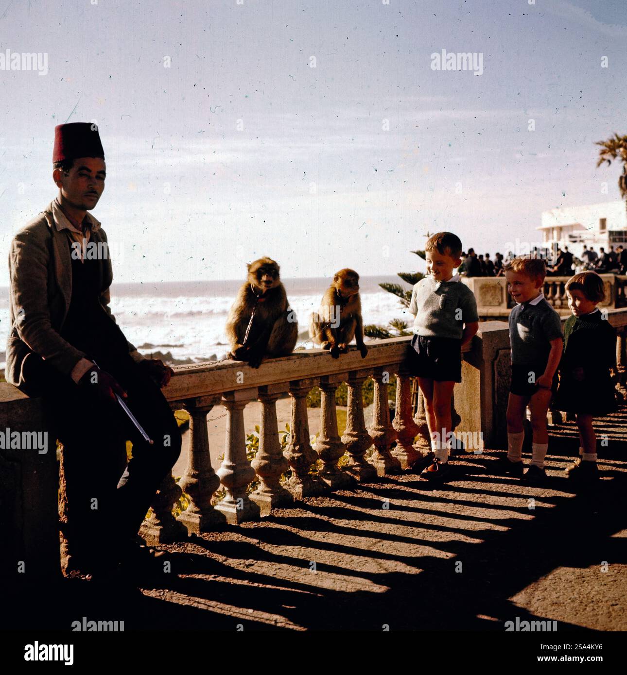 Kinder erfreuen sich an zwei Berberaffen, die ein Mann mit Fes ...