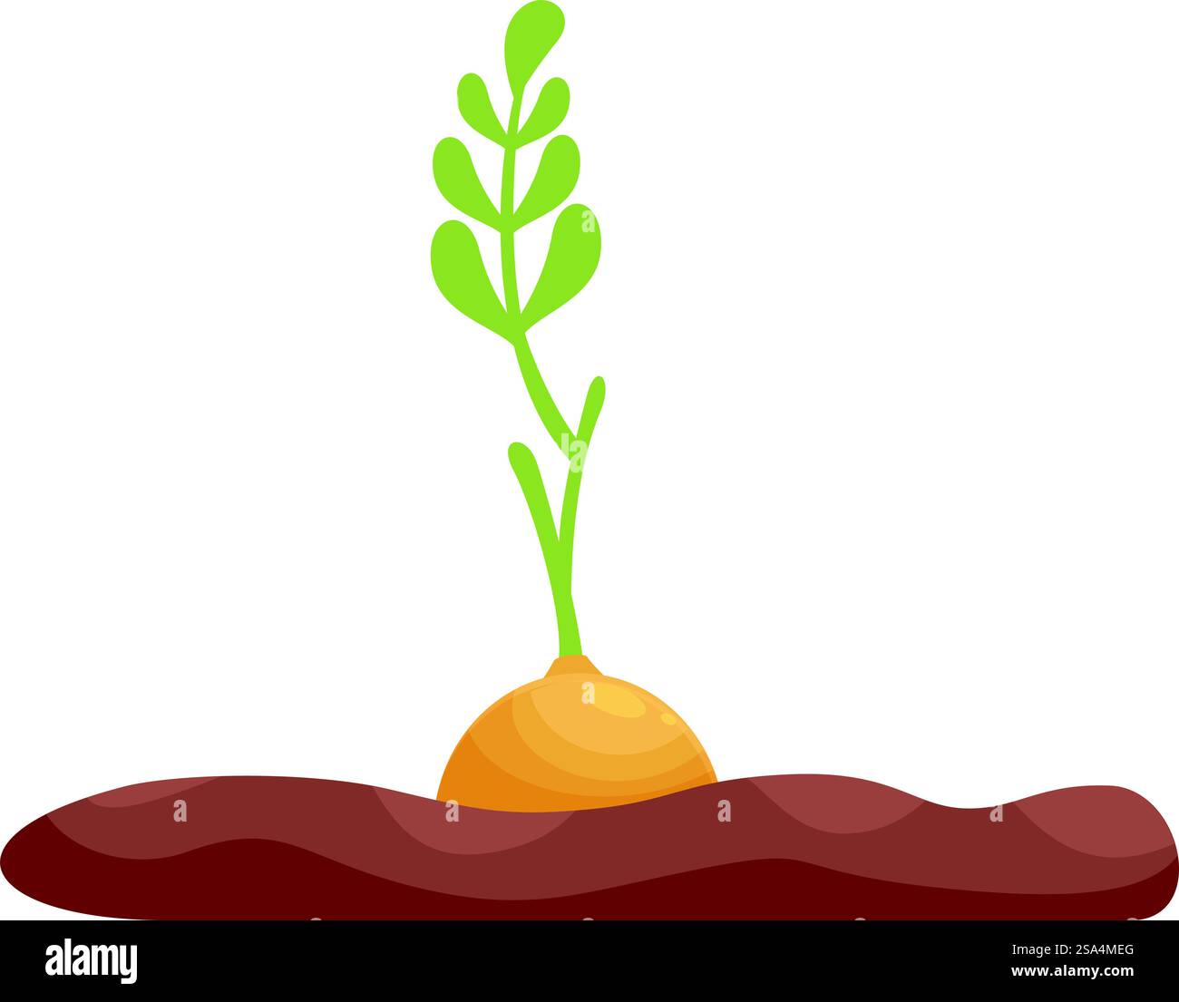 Small plant is growing out of the soil, symbolizing new life and growth. Small plant growing out ...