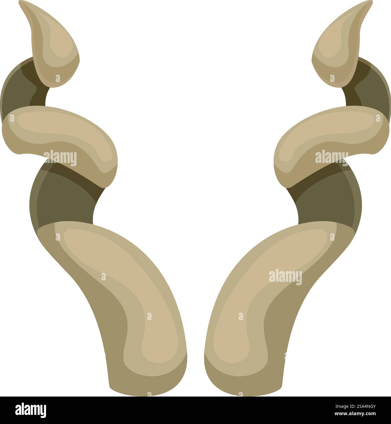 Illustration featuring a pair of beige spiral horns from a fantasy ...