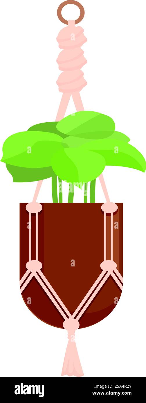 Decorative home plant hanging from ceiling using macrame plant hanger ...