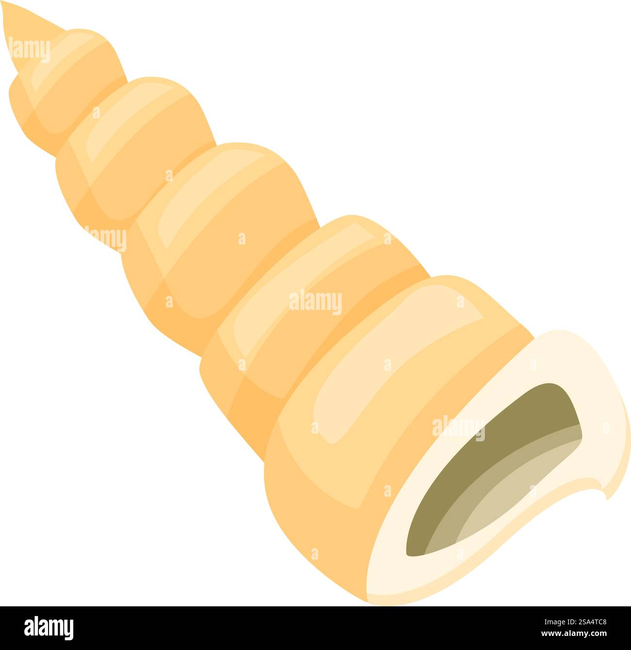Seashell exoskeleton Stock Vector Images - Alamy