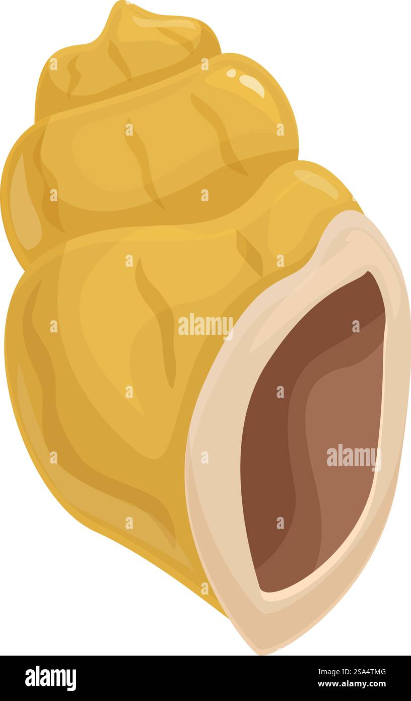 Empty seashell with a brown inside is lying on a white background ...