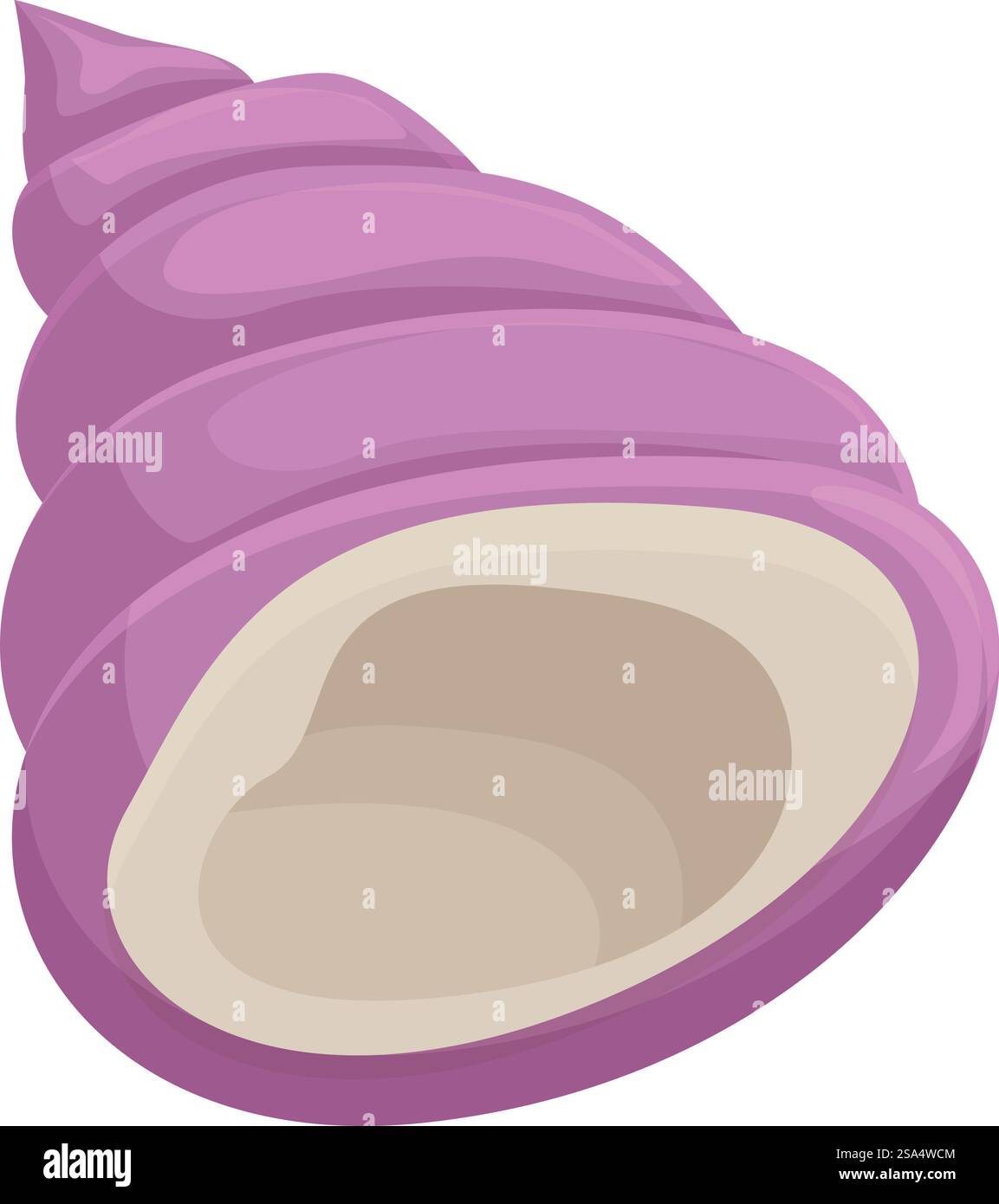 Empty purple seashell with whorls, isolated on white background. Purple ...
