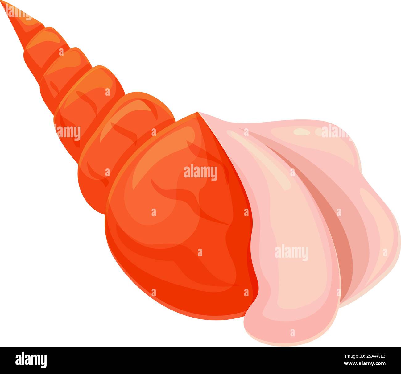 Beautiful orange seashell with pink inside lying on white background ...