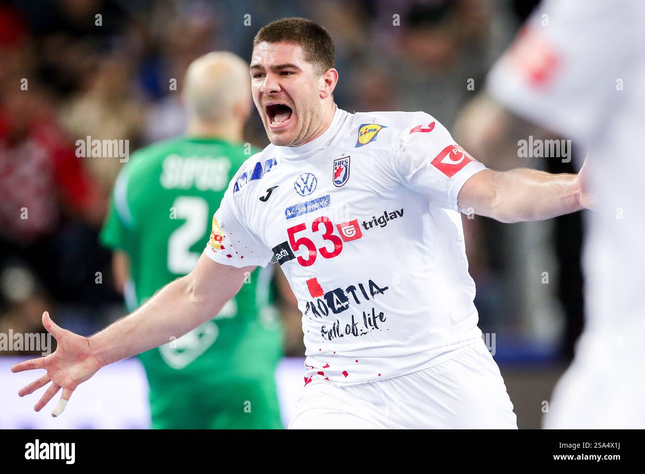 Zagreb, Croatia. 28th Jan, 2025. Marin Sipic of Croatia celebrates a ...