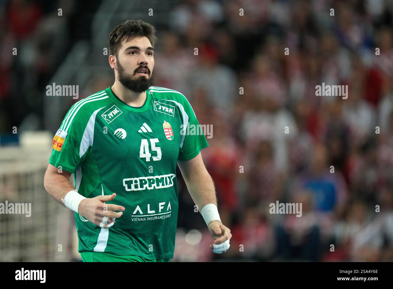 Hungary's Miklos Rosta during the quarterfinal match between Croatia ...
