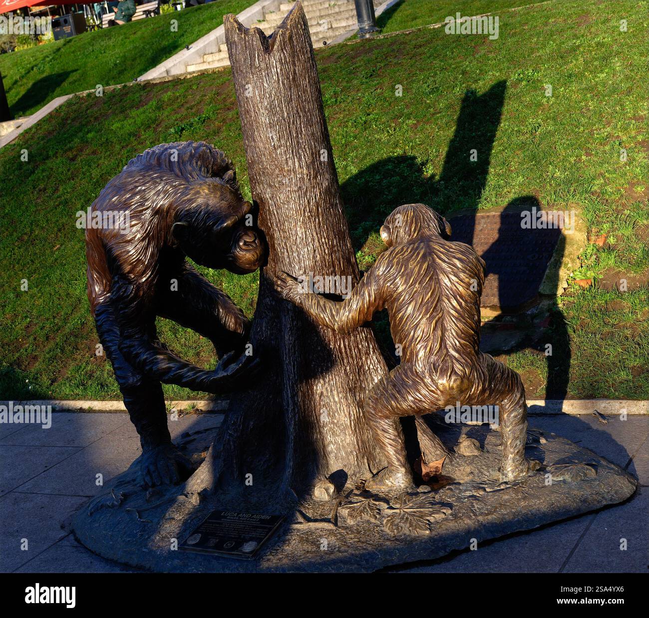 The statue of Luca and Aiden the chimpanzees playing around a tree ...