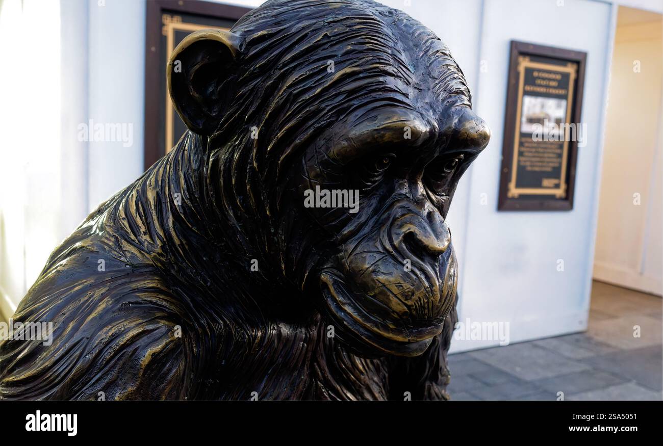The statue of Jaska the chimpanzee at Richmond train station, Richmond ...