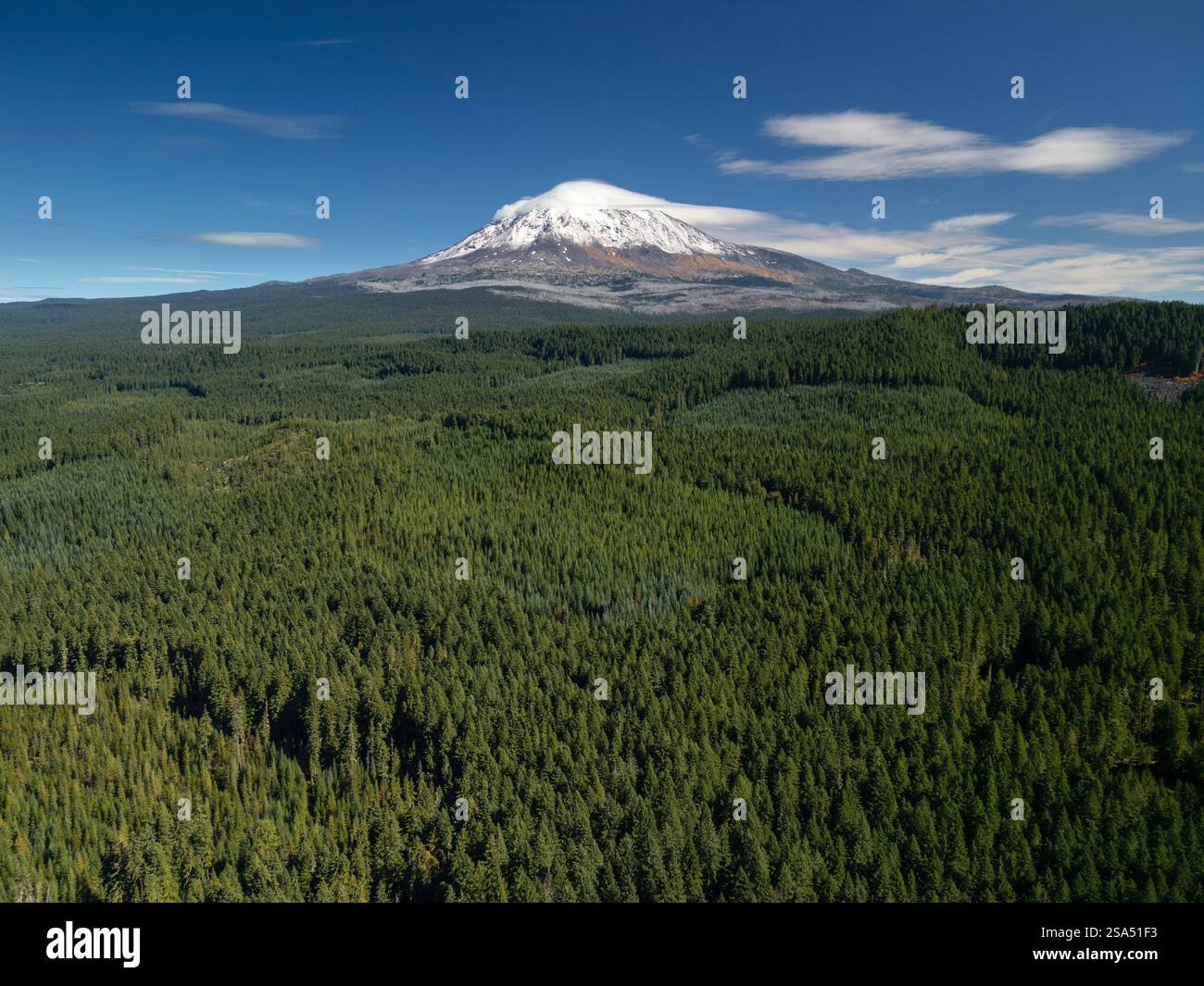 Aerial view of the Cascade peak of Mount Adams in the Gifford Pinchot ...