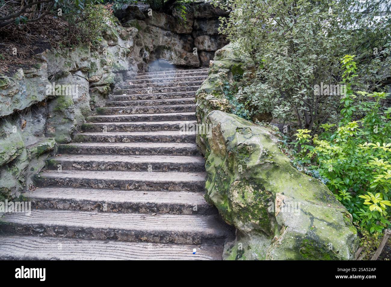 Natural stone staircase winds through lush greenery in serene outdoor ...