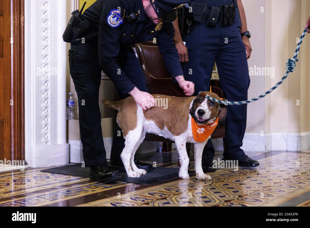 Capitol Police Officers pet Bixie, a therapy dog with the therapy dog ...