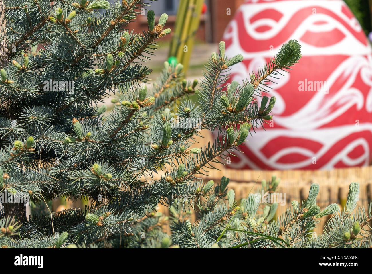 Giant red outdoor Easter egg decoration behind a pine tree in spring ...