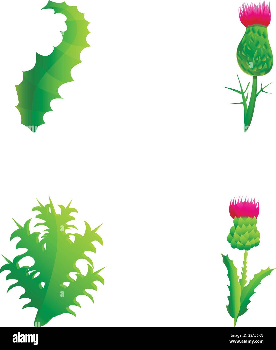 Milk thistle field Stock Vector Images - Alamy