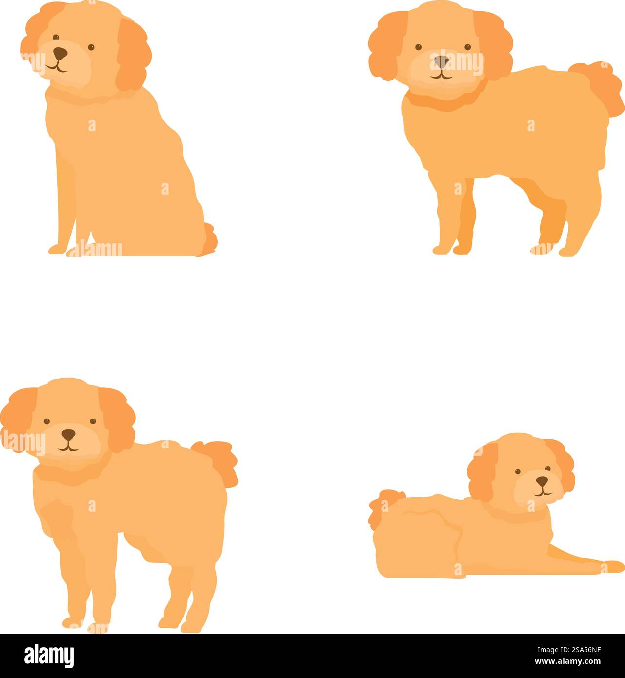 Collection of cute illustrated poodles in different stances, perfect ...