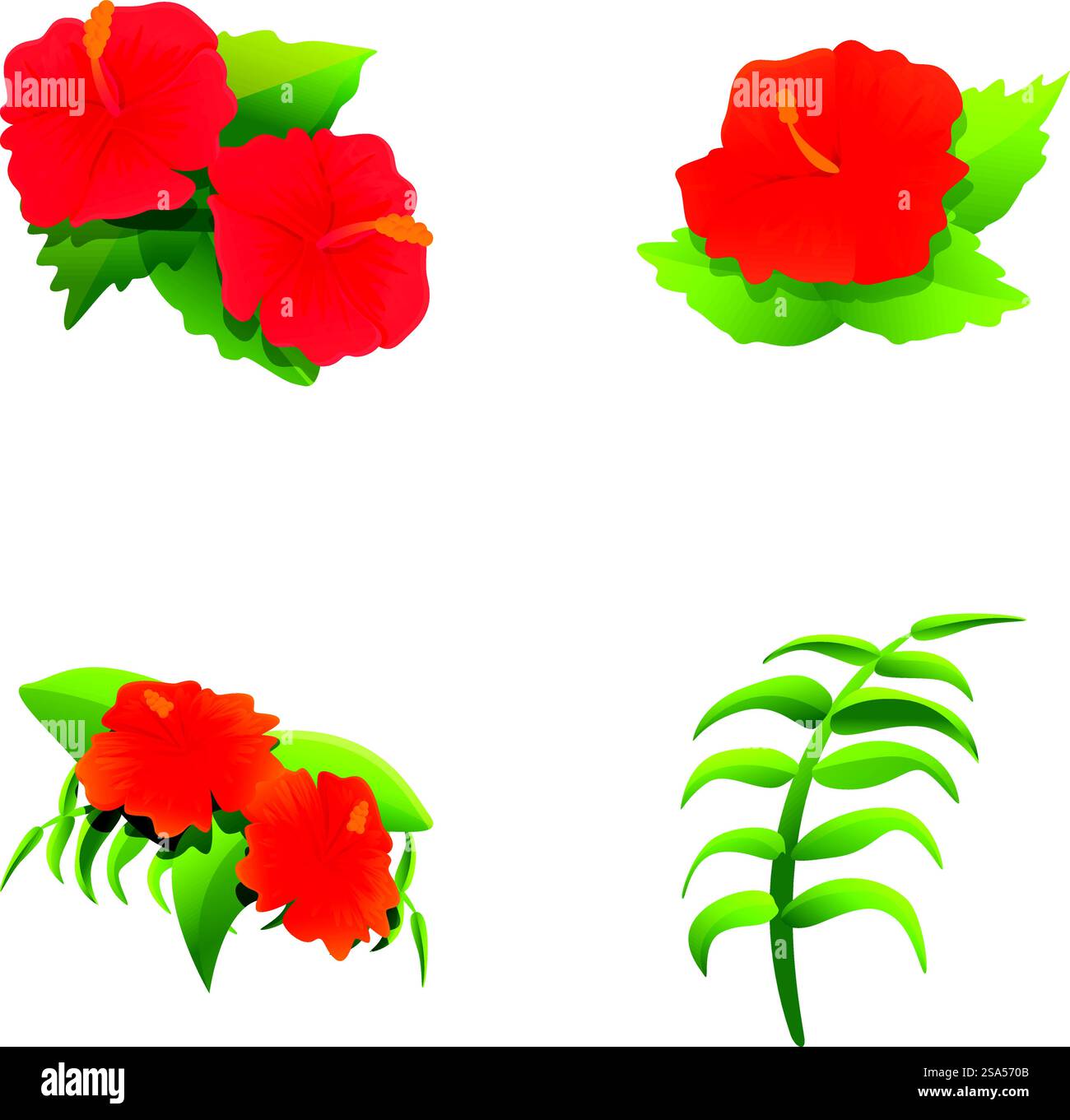 Hibiscus plant icons set cartoon vector. Blooming red hibiscus with ...