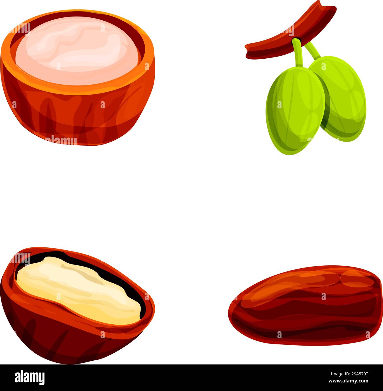 Shea butter icons set cartoon vector. Shea nut with liquid extract ...