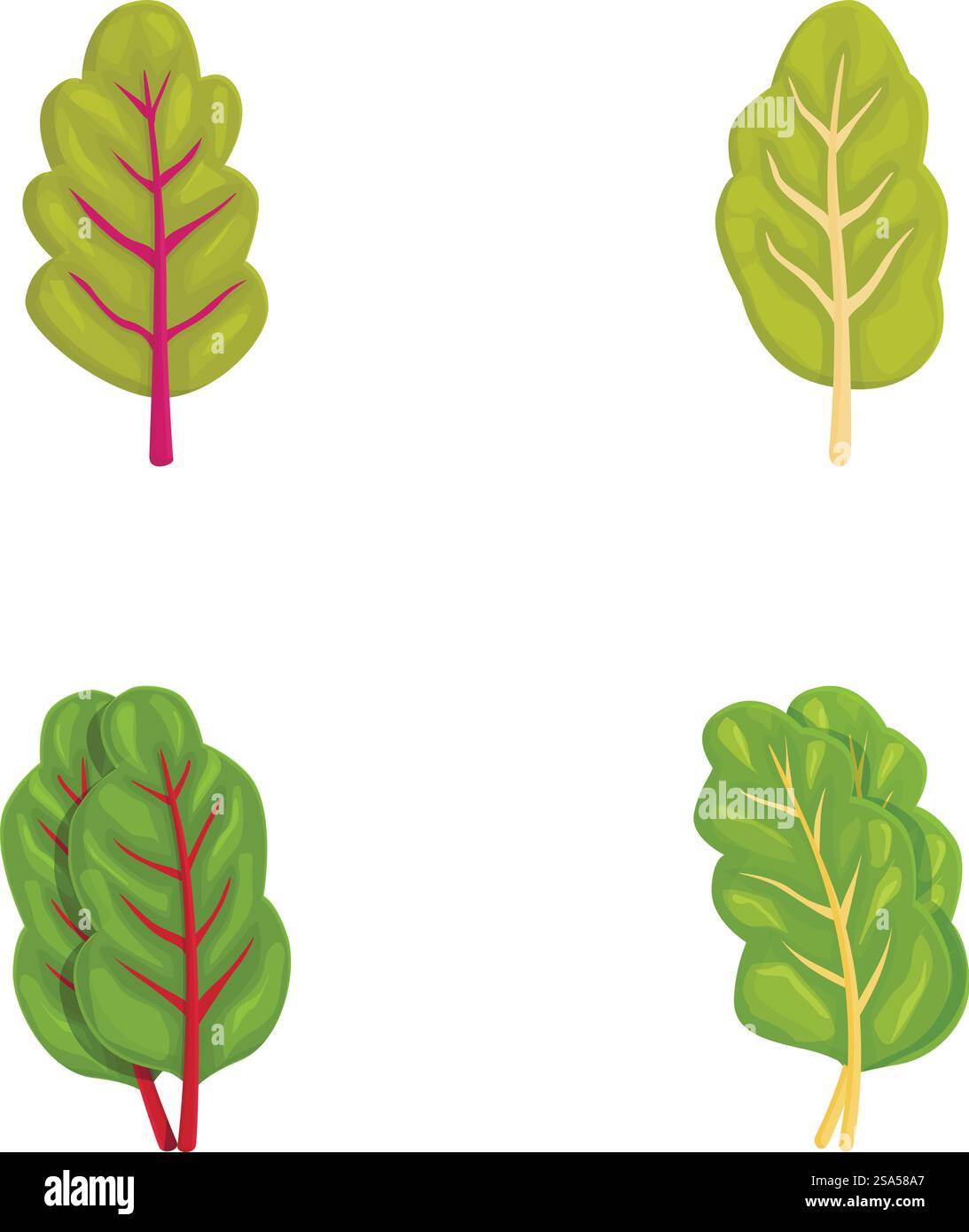 Set of four vector illustrations of green leaves with various shapes ...