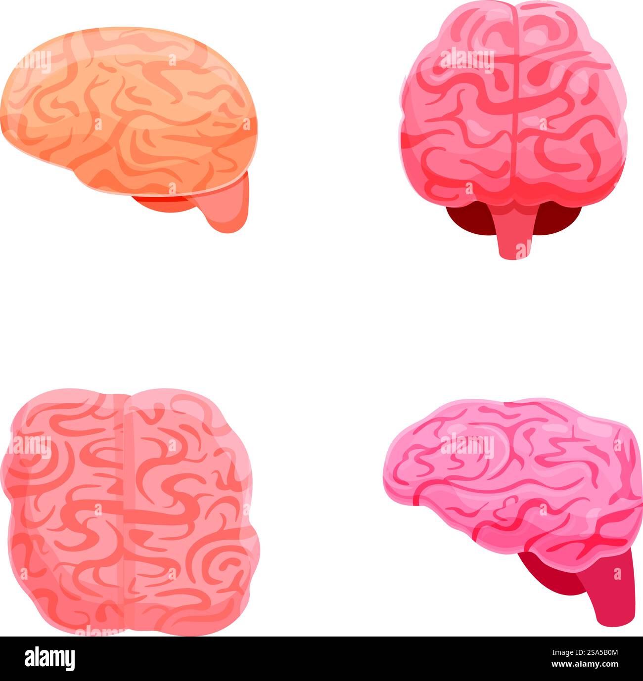 Organ icons Cut Out Stock Images & Pictures - Alamy