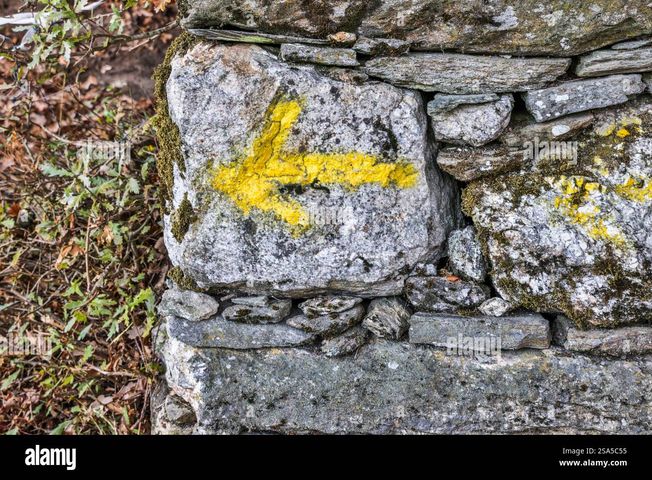 Spain, Galicia. Yellow arrow to guide pilgrims on their walk along the ...