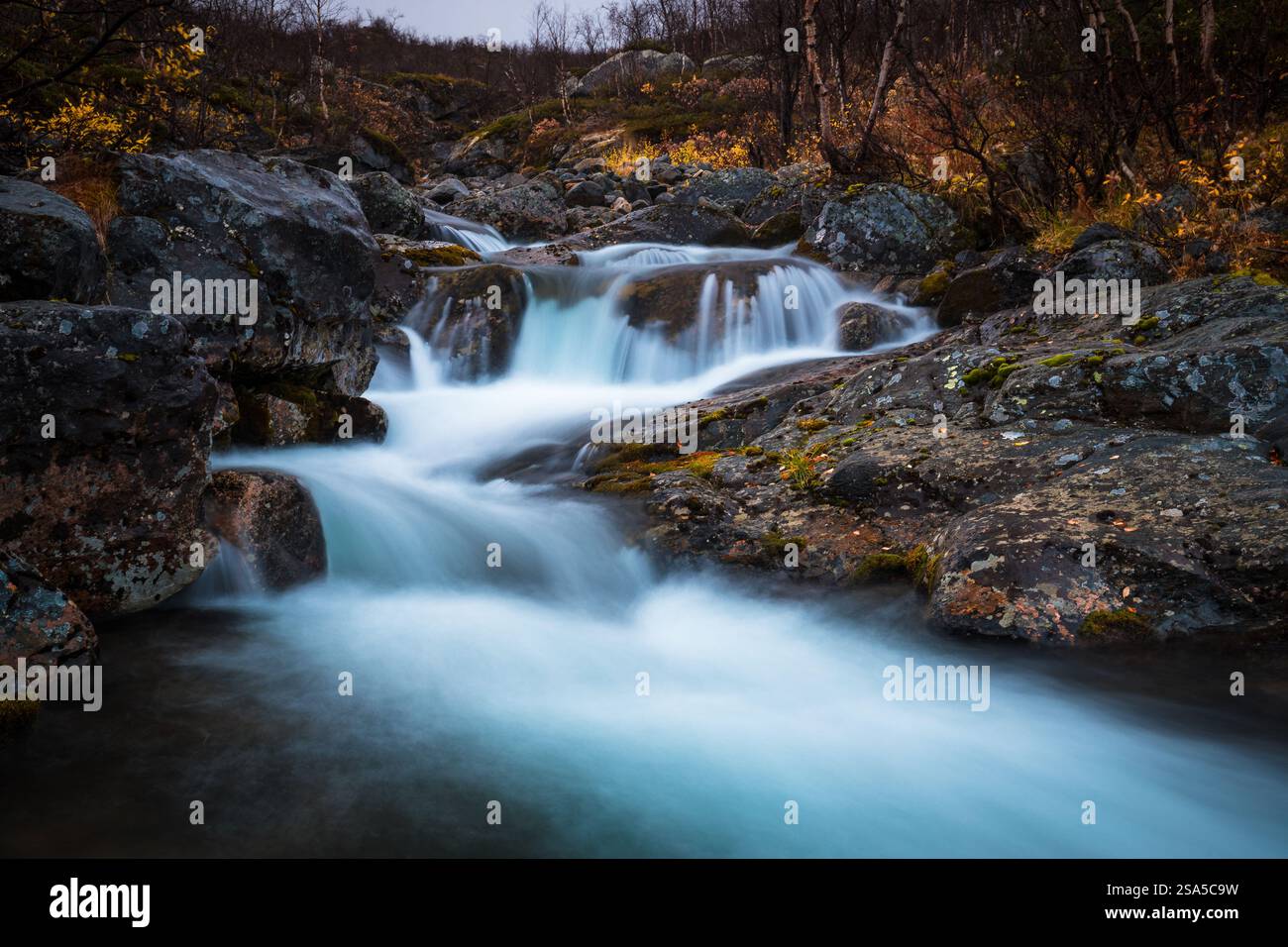 Beautiful waterfall in the wilderness of swedish lapland Stock Photo ...