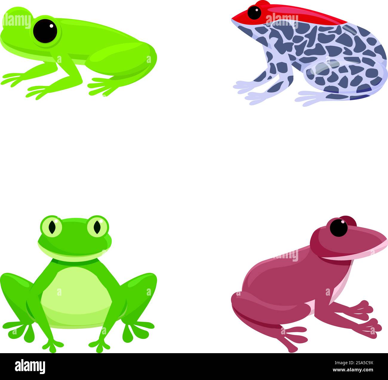 Cute frog icons set cartoon vector. Cartoon wild frog. Amphibian ...