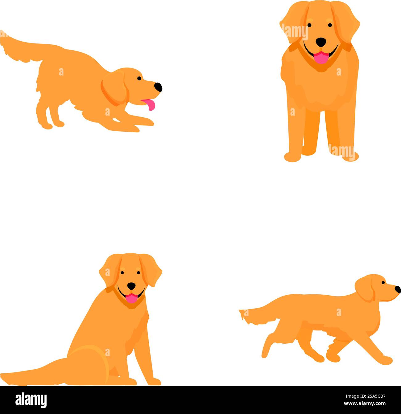 Collection of playful and cute labrador retriever dogs in various poses ...