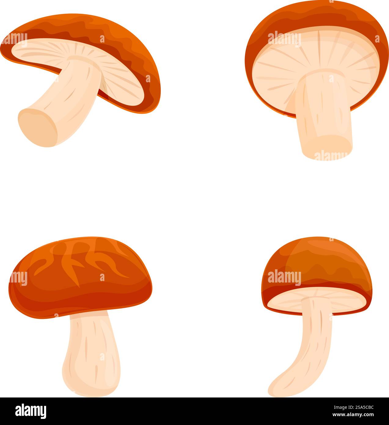 Shiitake mushroom icons set cartoon vector. Asian shiitake mushroom or ...