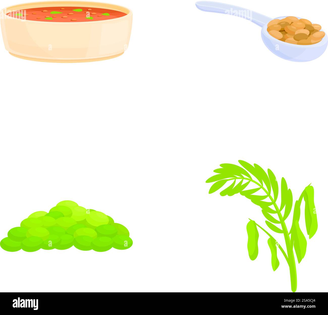 Lentil plant icons set cartoon vector. Green lentil plant seed in spoon ...