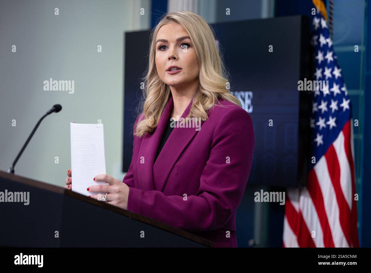 White House Press Secretary Karoline Leavitt speaks during a press briefing at the White House ...