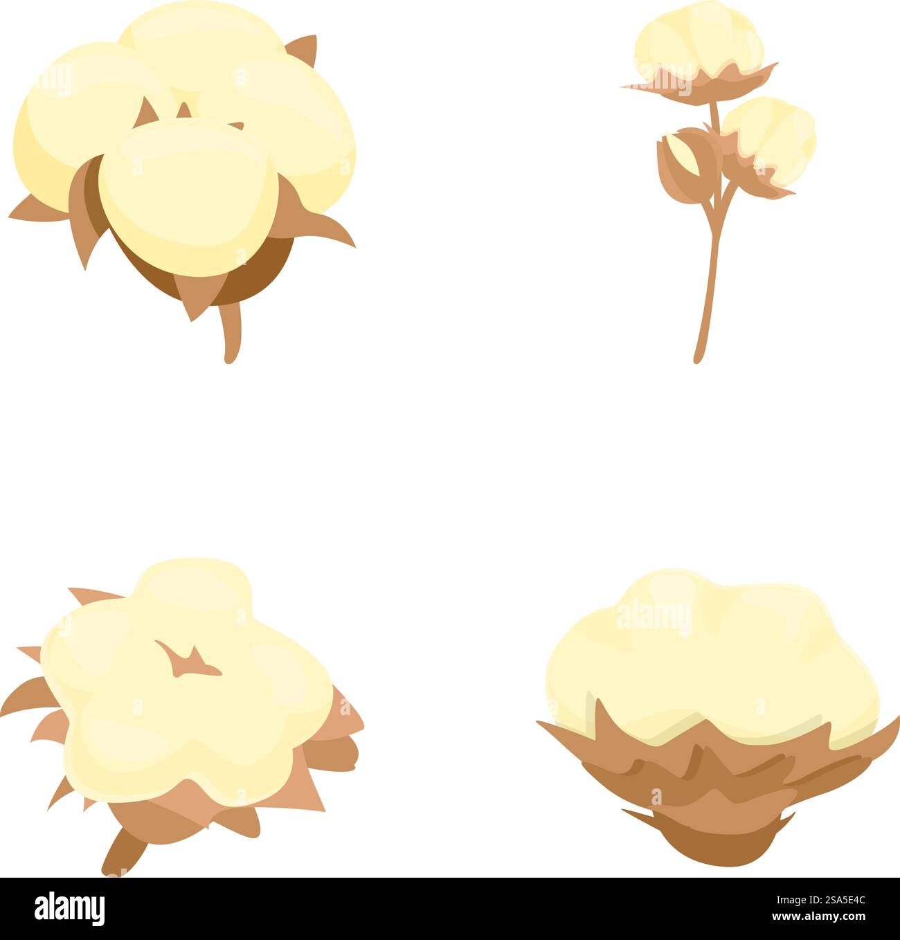 Vector set of cotton plant illustrations on white background ...