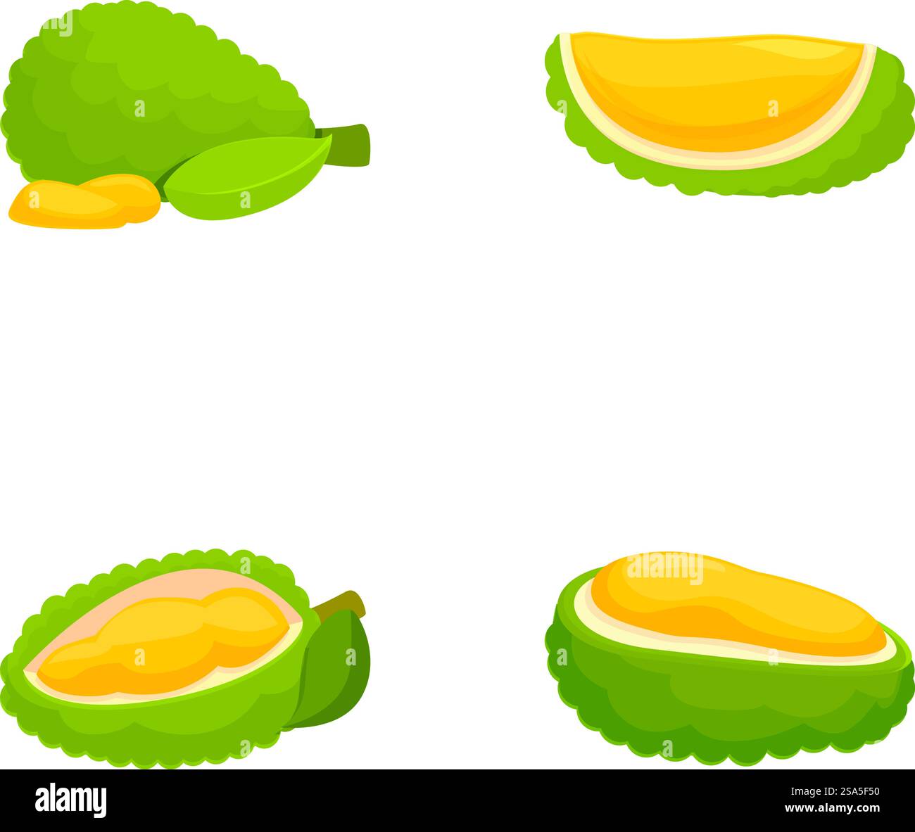 A collection of colorful vector illustrations of citrus and tropical ...