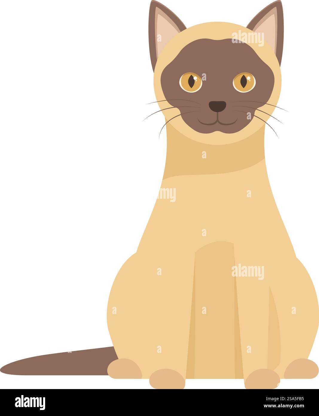 Cute siamese cat is sitting and looking forward. Cute siamese cat ...