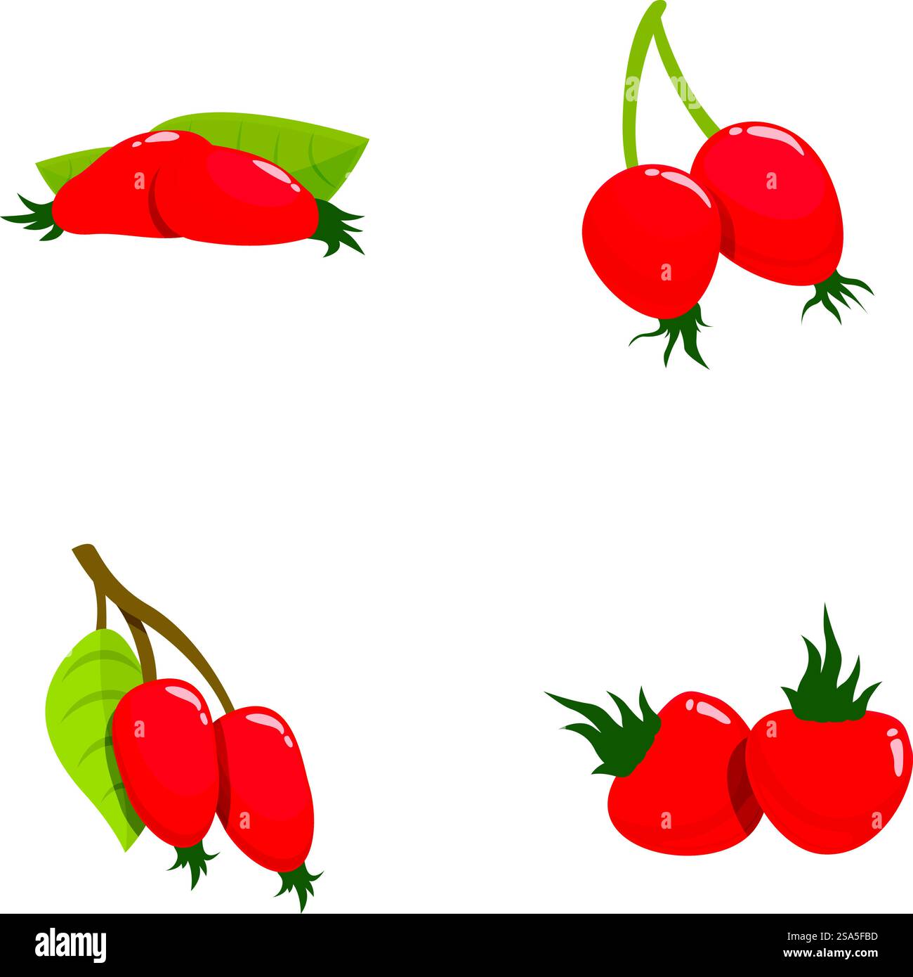 Vector set of various stylized red berries with leaves isolated on ...