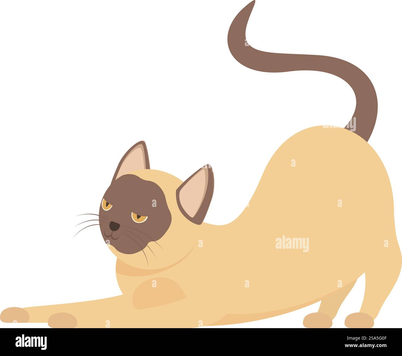 Cartoon siamese cat is stretching its body on the floor. Cute siamese ...