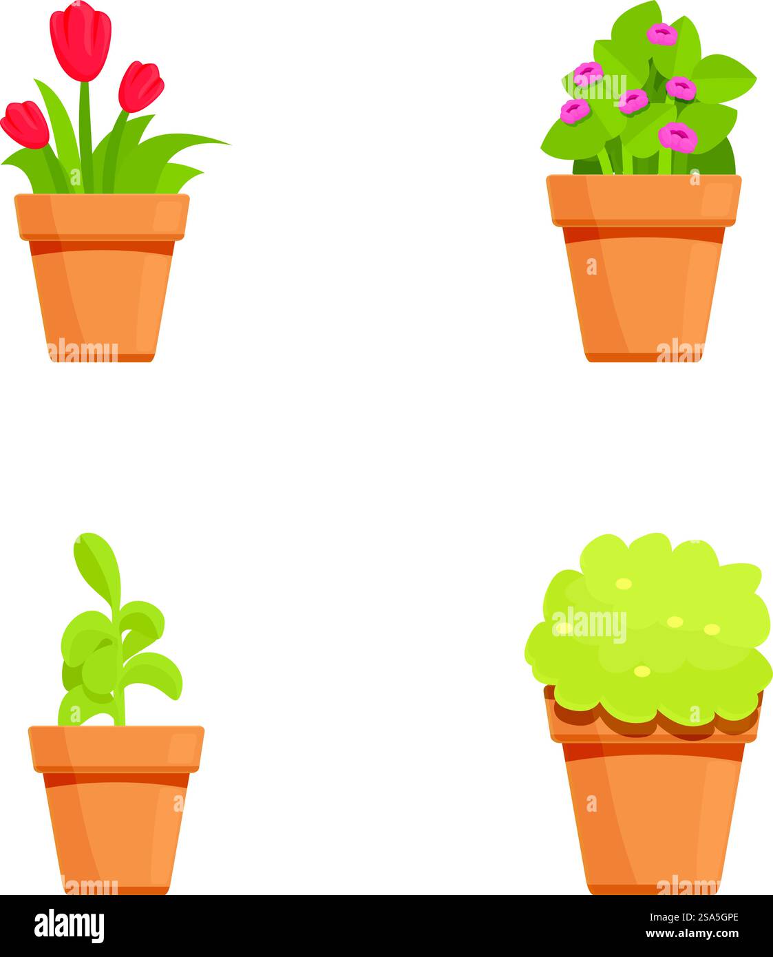Illustrated colorful potted plants including flowers and greenery. Set ...