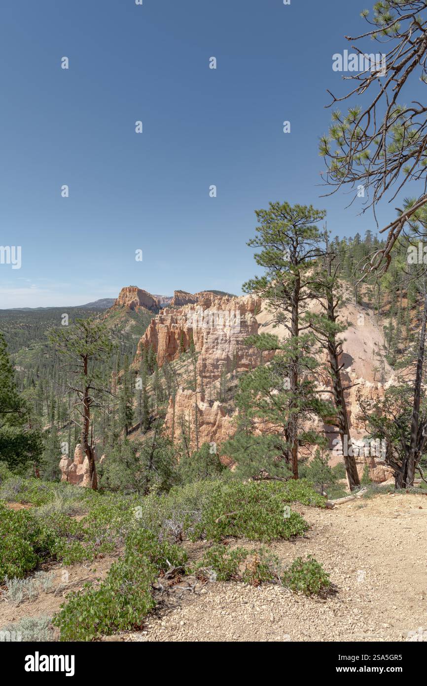 Vegetation and Butte Fin Rock Formation in Bryce Canyon National Park ...
