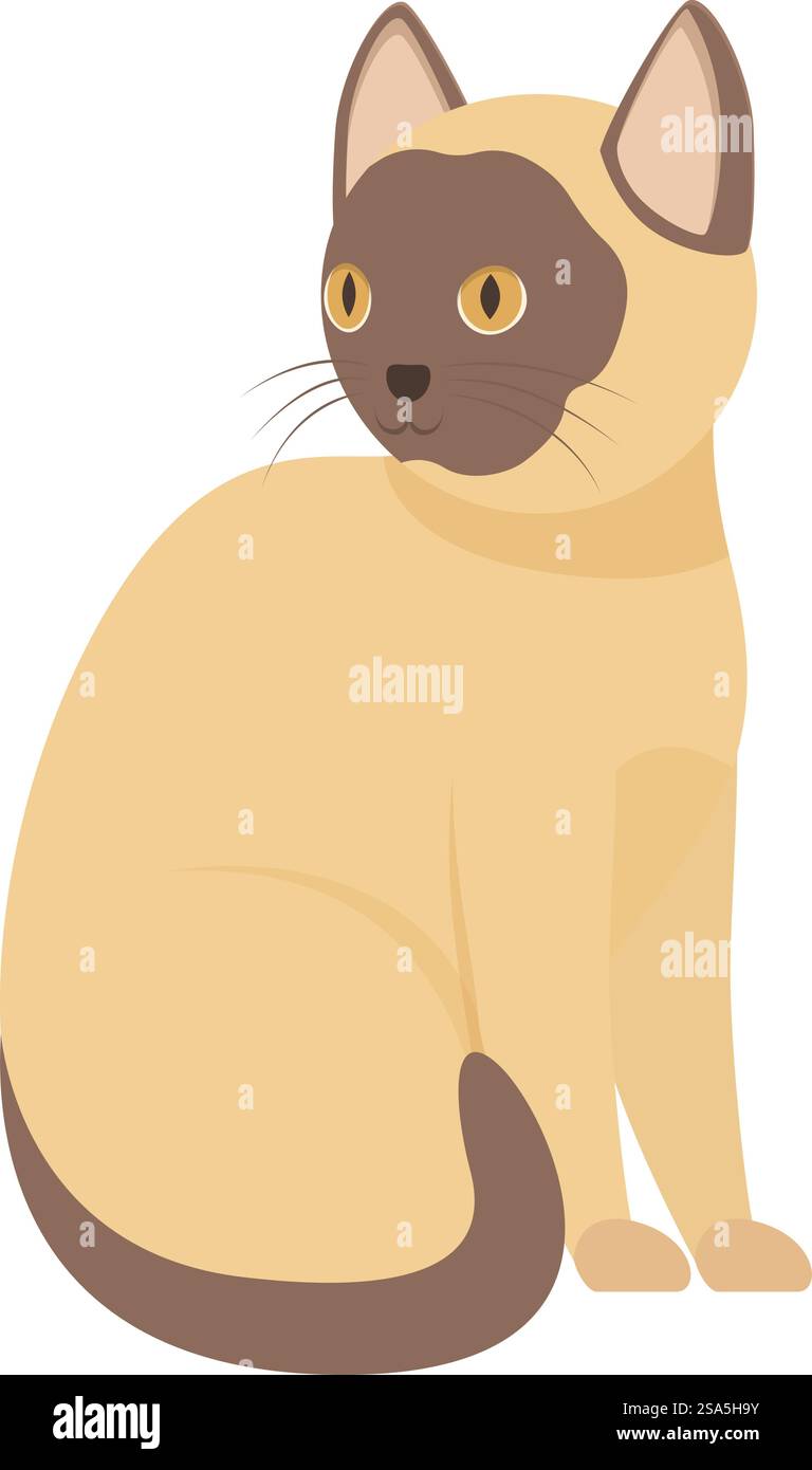 Adorable siamese cat sitting and looking curiously over its shoulder ...