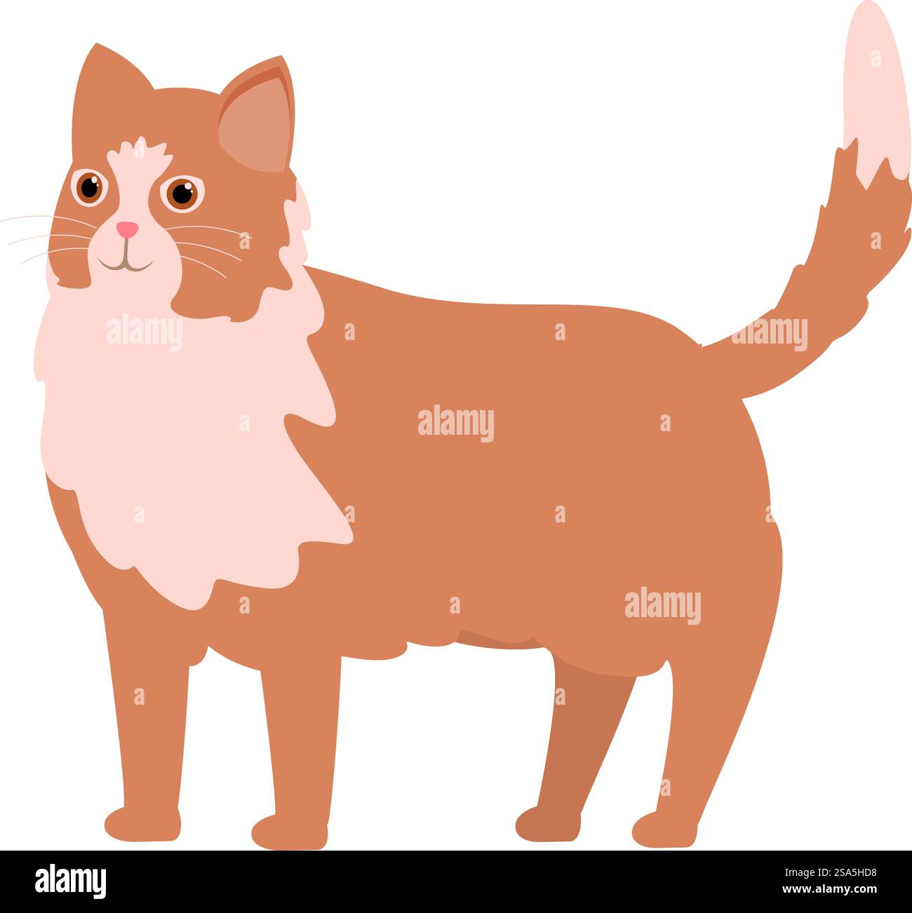 Adorable ginger cat standing with raised tail, looking up with ...